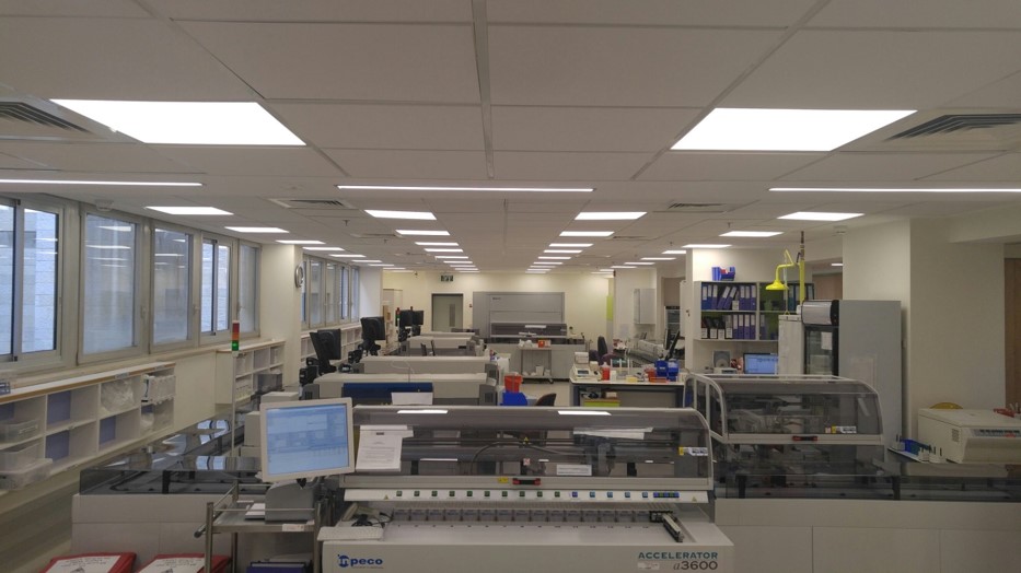 בית חולים שערי צדק - Ilex Medical